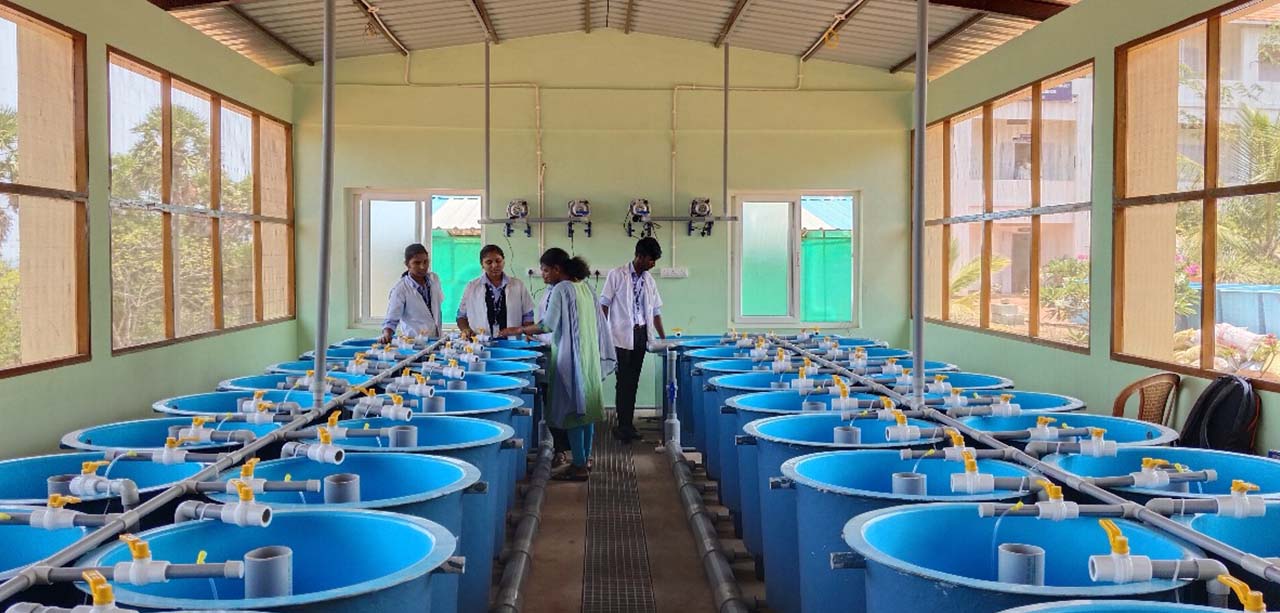 St. Devasahayam Institute of Fisheries Science & Technology College of ...